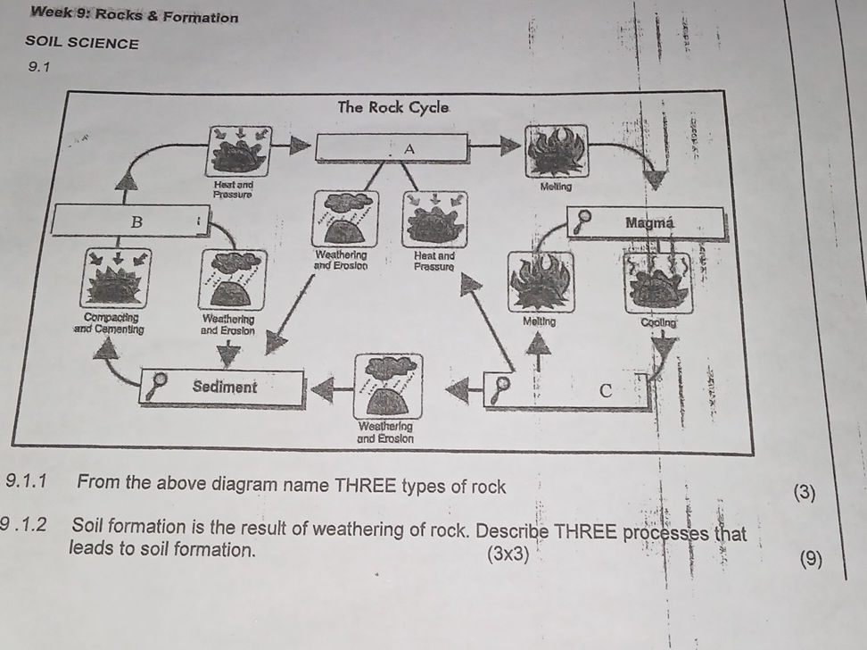 9.1.1 From the above diagram name THREE | StudyX