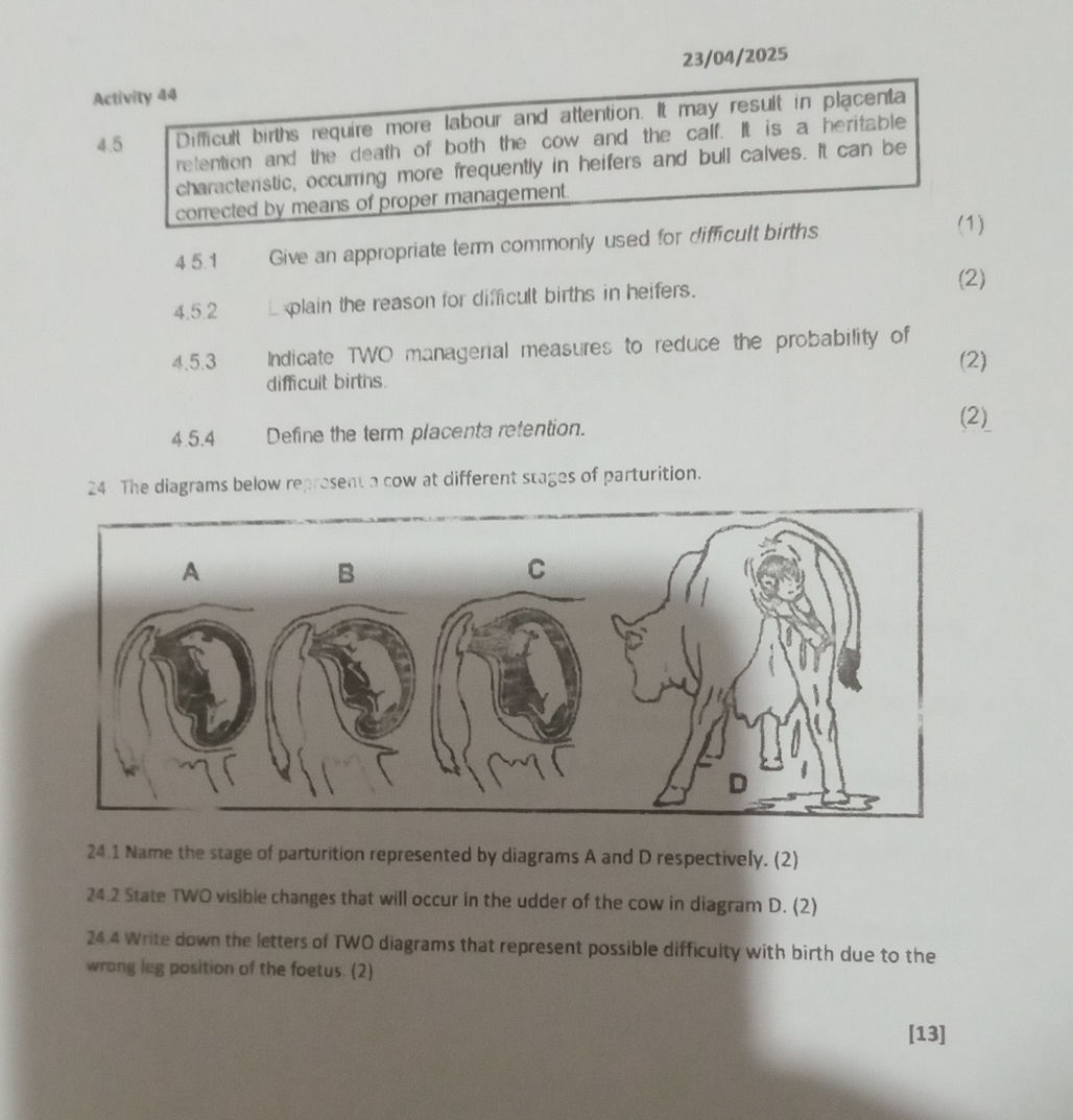 4.5 Difficult births require more labour and | StudyX