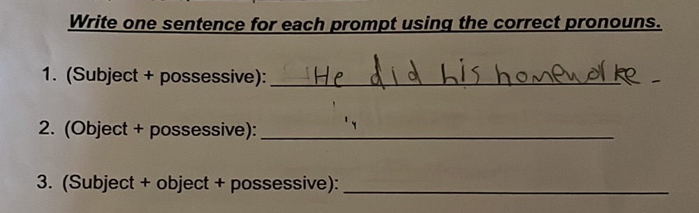 Write one sentence for each prompt using the | StudyX