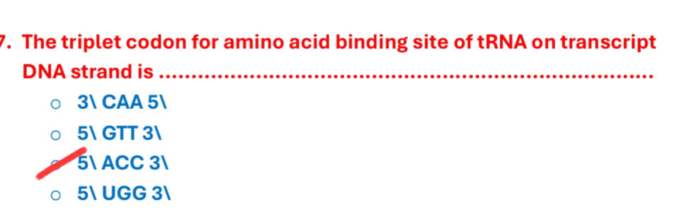 7. The triplet codon for amino acid binding | StudyX