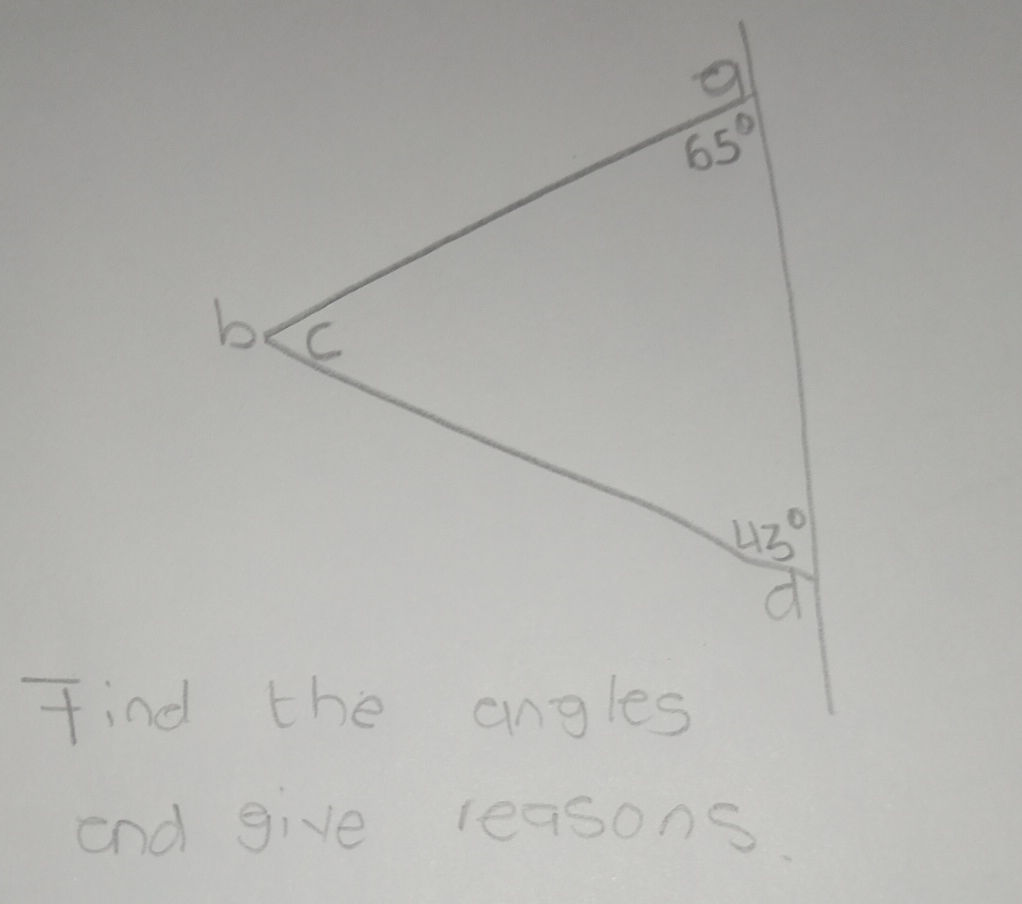 Find angles and give reasons for triangle | StudyX