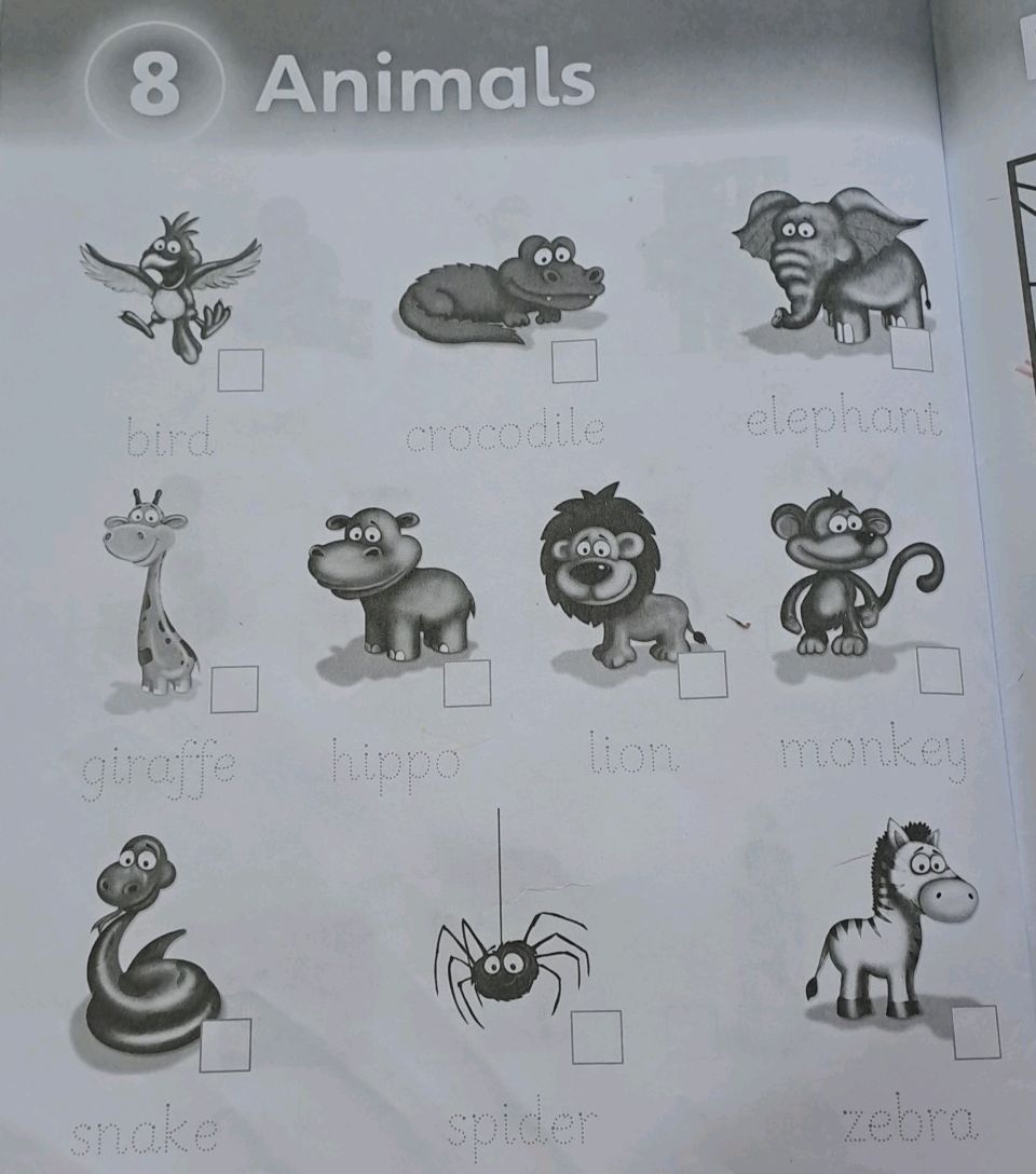 Match the animals with their names. Bird | StudyX