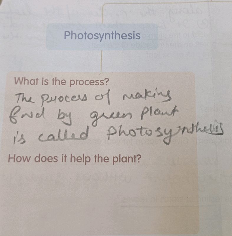 What is the process? The process of making | StudyX