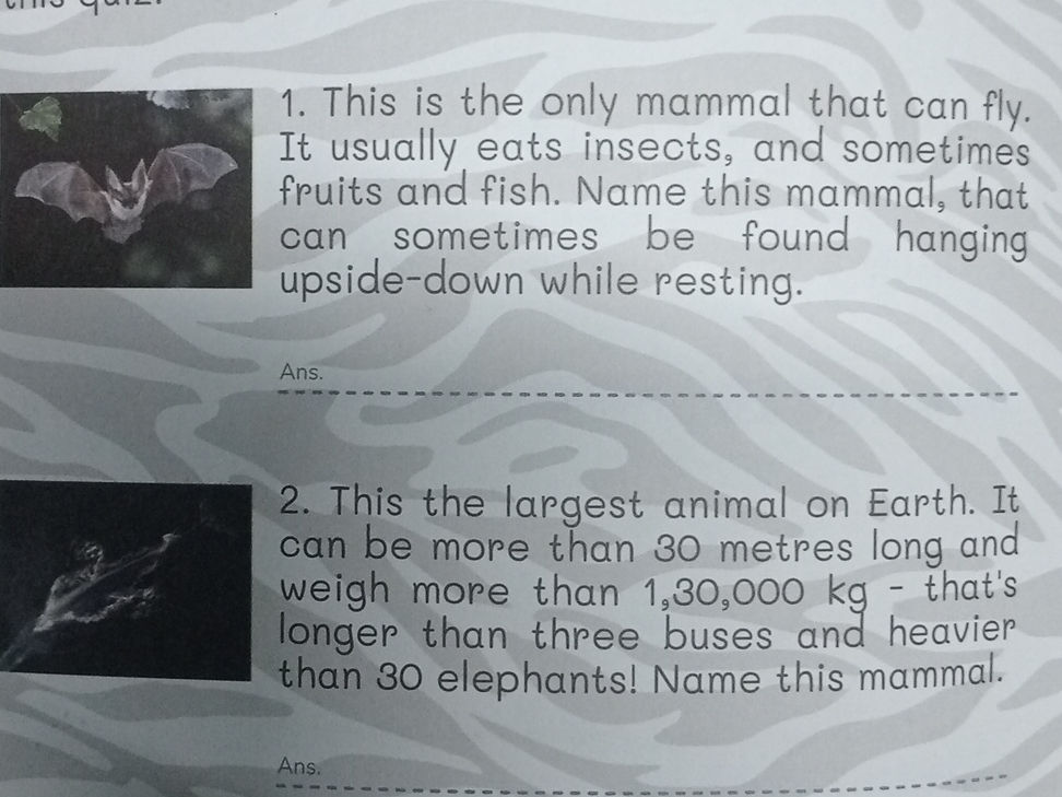1. This is the only mammal that can fly. It | StudyX