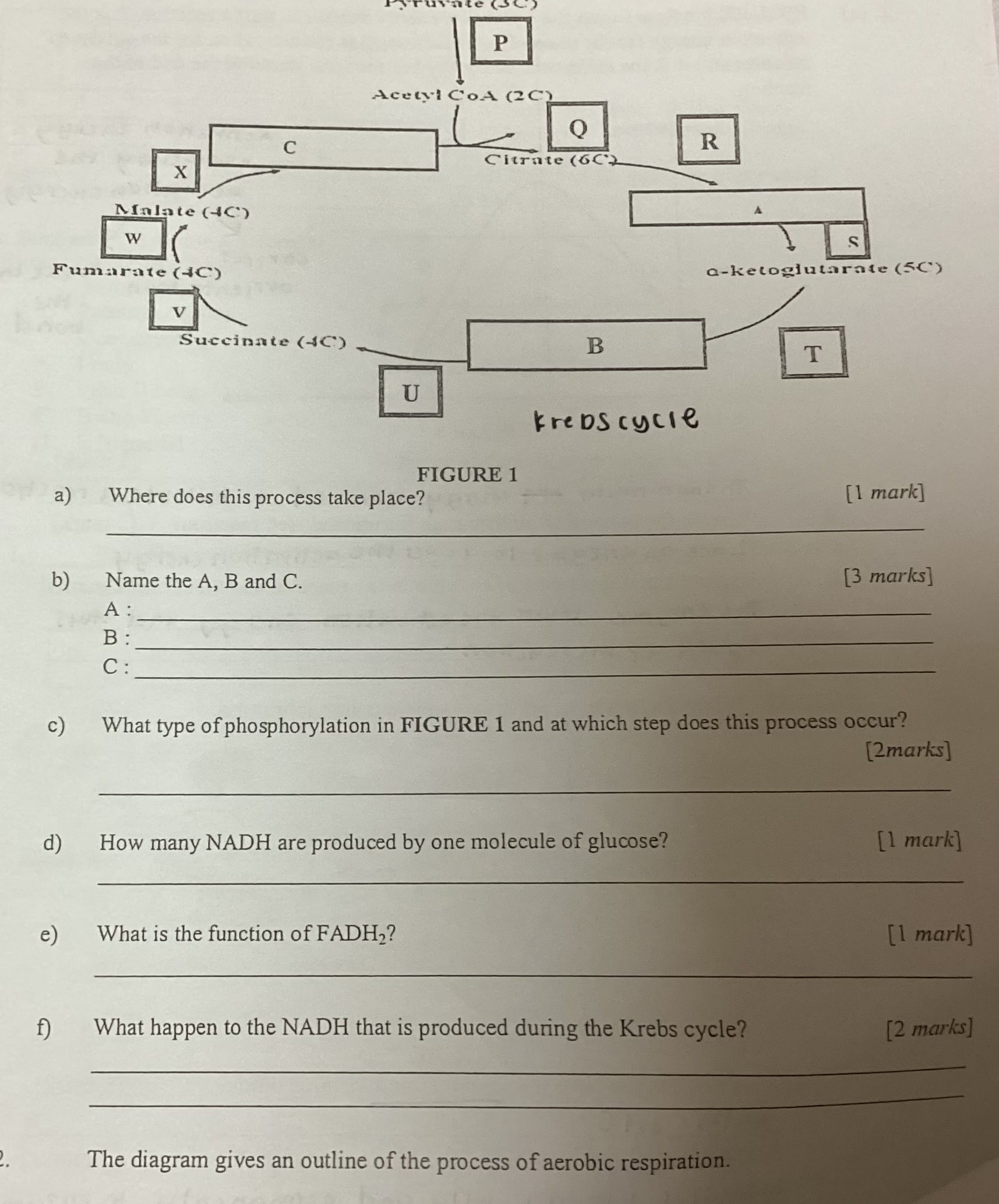 FIGURE 1 a) Where does this process | StudyX