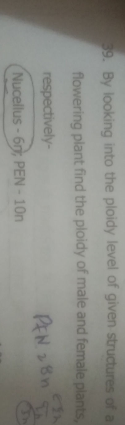 39. By looking into the ploidy level of | StudyX