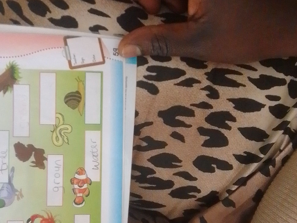 The image contains a matching activity with | StudyX