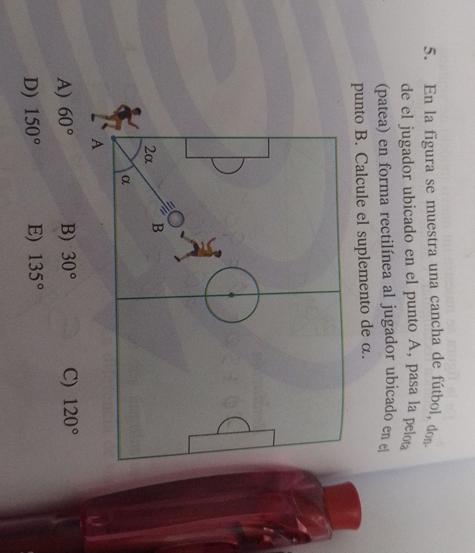 5. En la figura se muestra una cancha de | StudyX