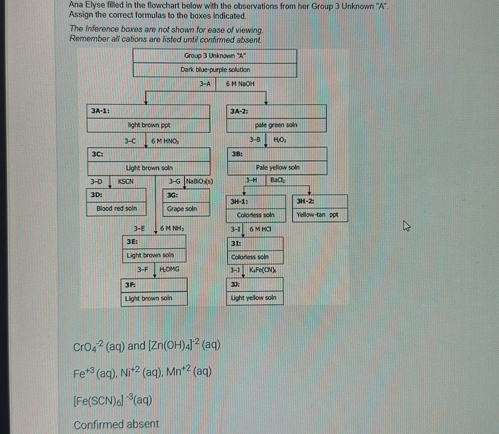 Ana Elyse filled in the flowchart below with | StudyX