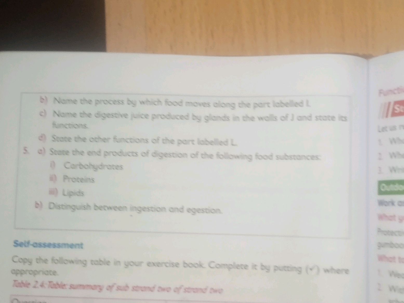 b) Name the process by which food moves | StudyX