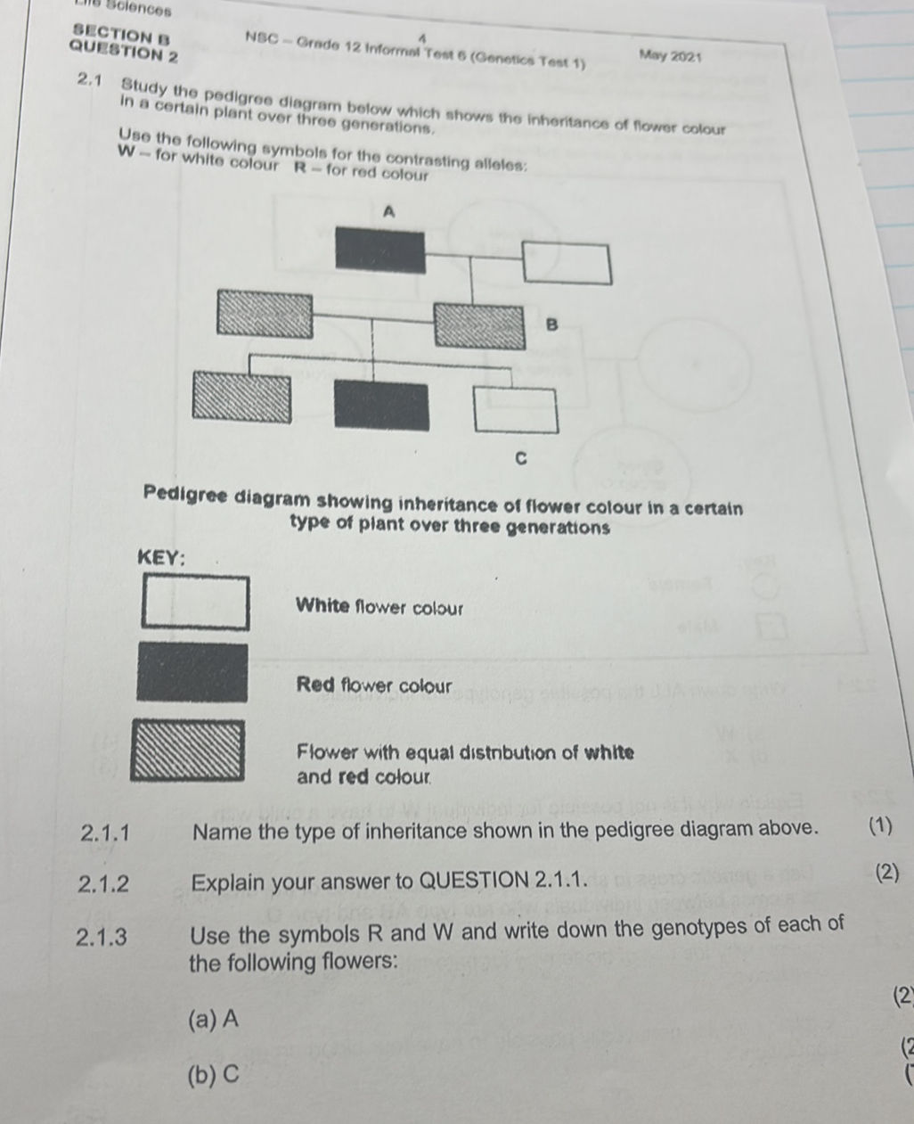 2.1 Study the pedigree diagram below which | StudyX