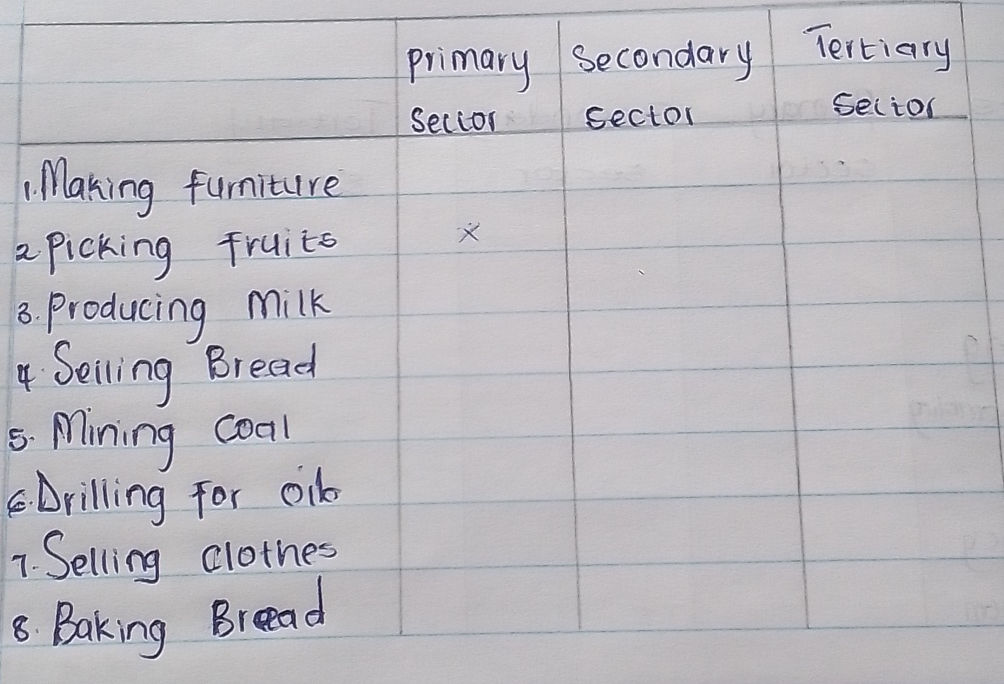 primary Sector | secondary Sector | | StudyX