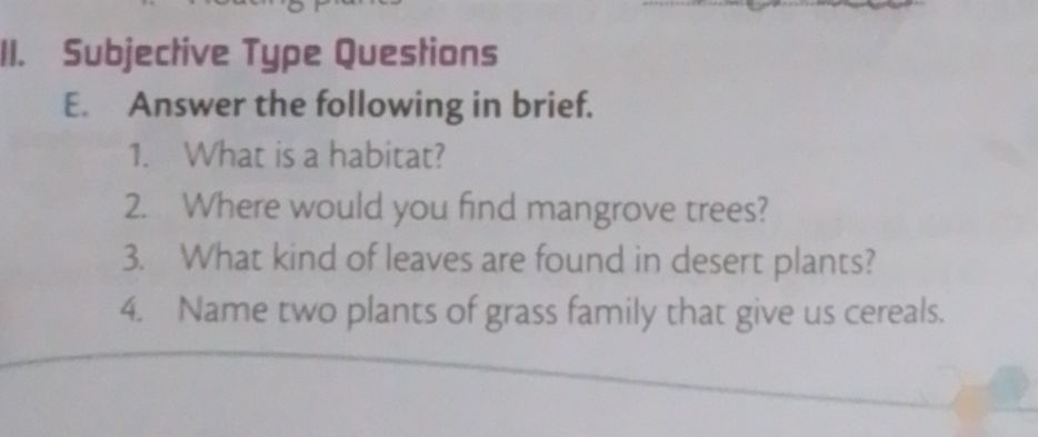 II. Subjective Type Questions E. Answer the | StudyX