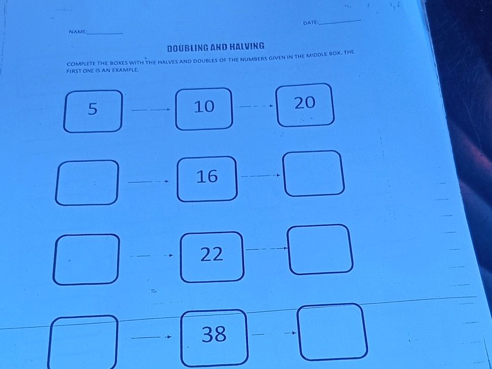 Complete the boxes with the halves and | StudyX