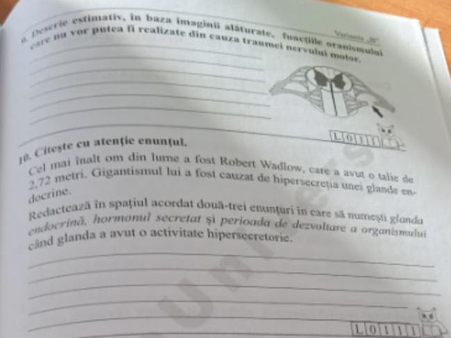 9. Descrie estimativ, in baza imaginii | StudyX