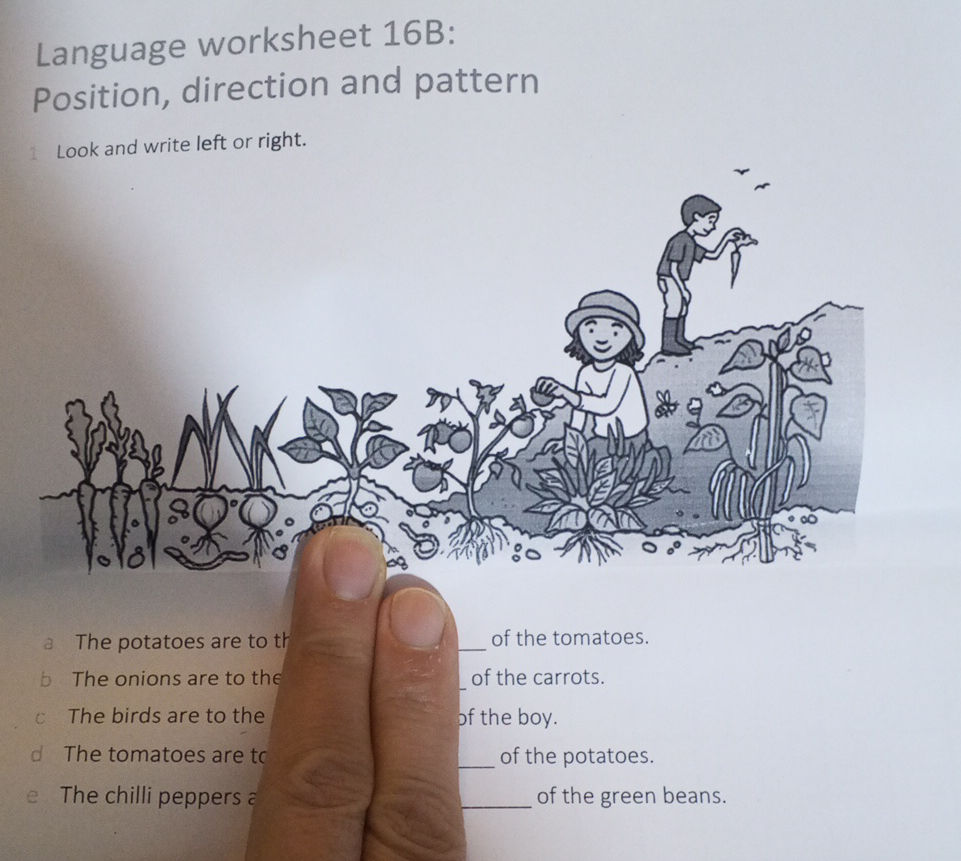 Language worksheet 16B: Position, direction | StudyX