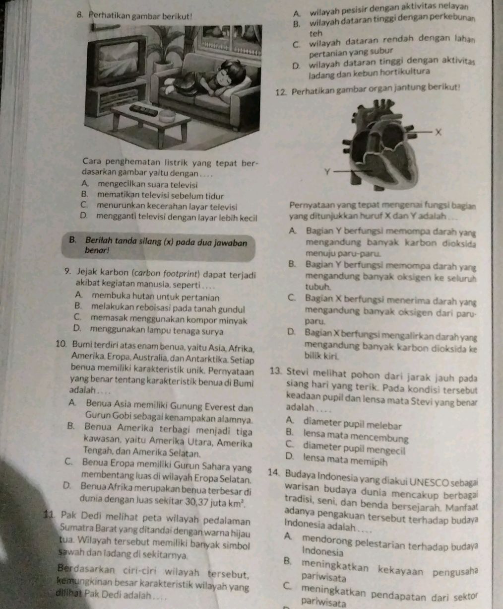8. Perhatikan gambar berikut! A. wilayah | StudyX