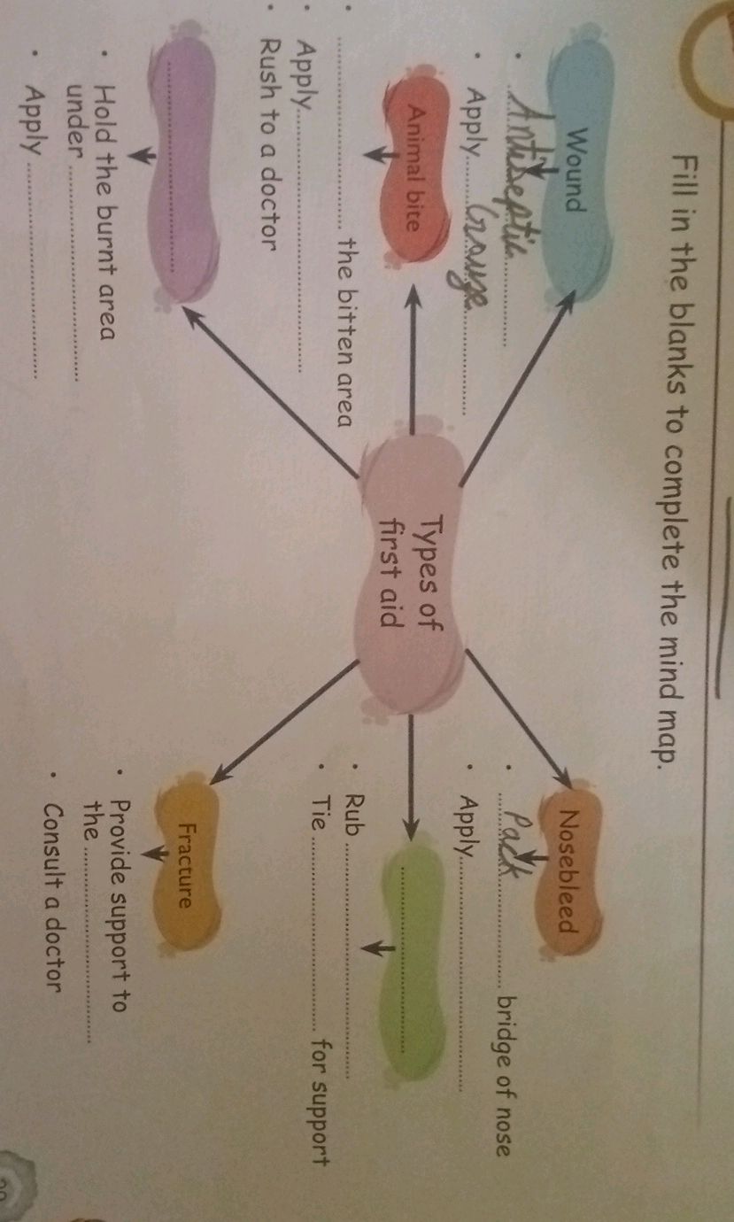 Fill in the blanks to complete the mind map. | StudyX