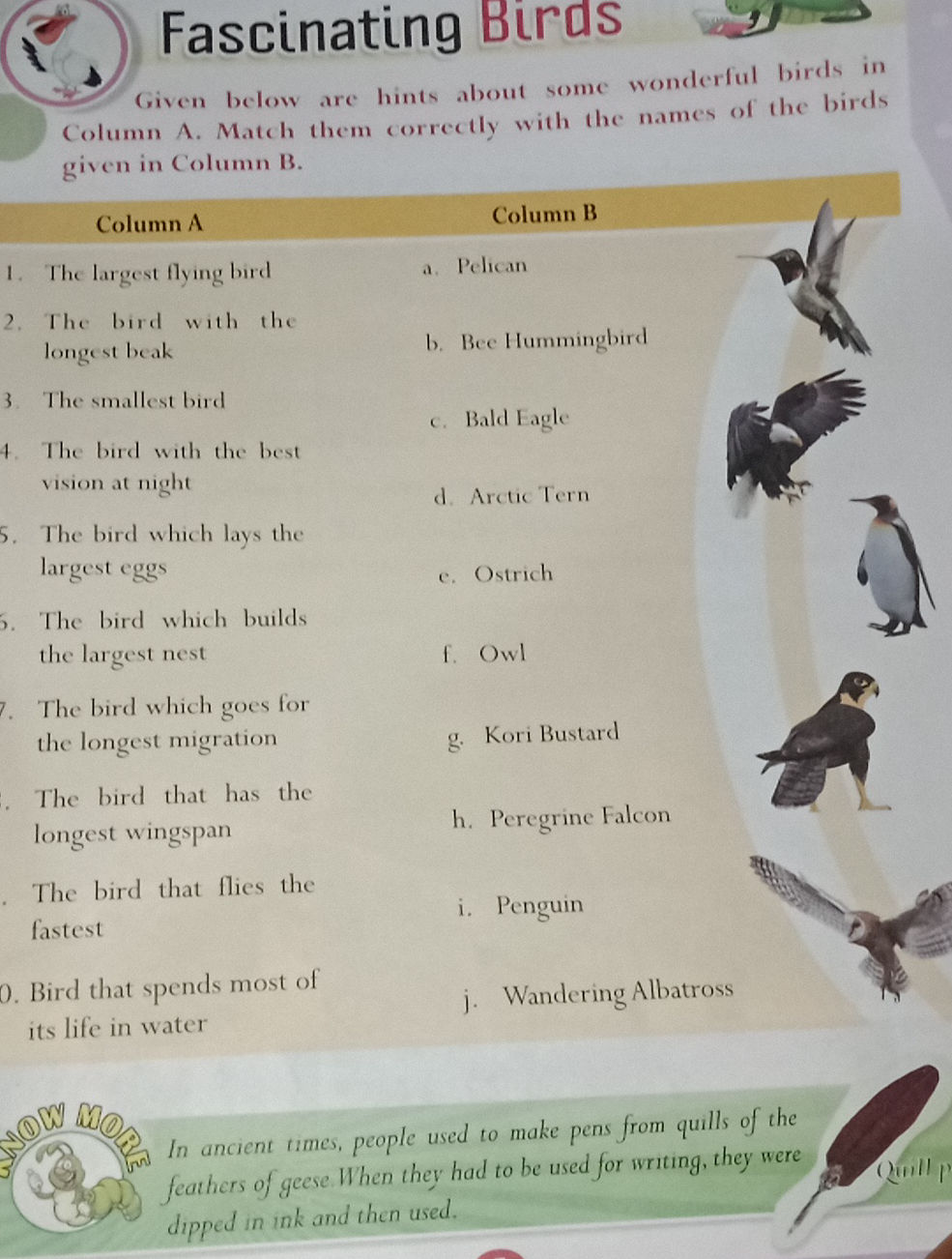 Given below are hints about some wonderful | StudyX