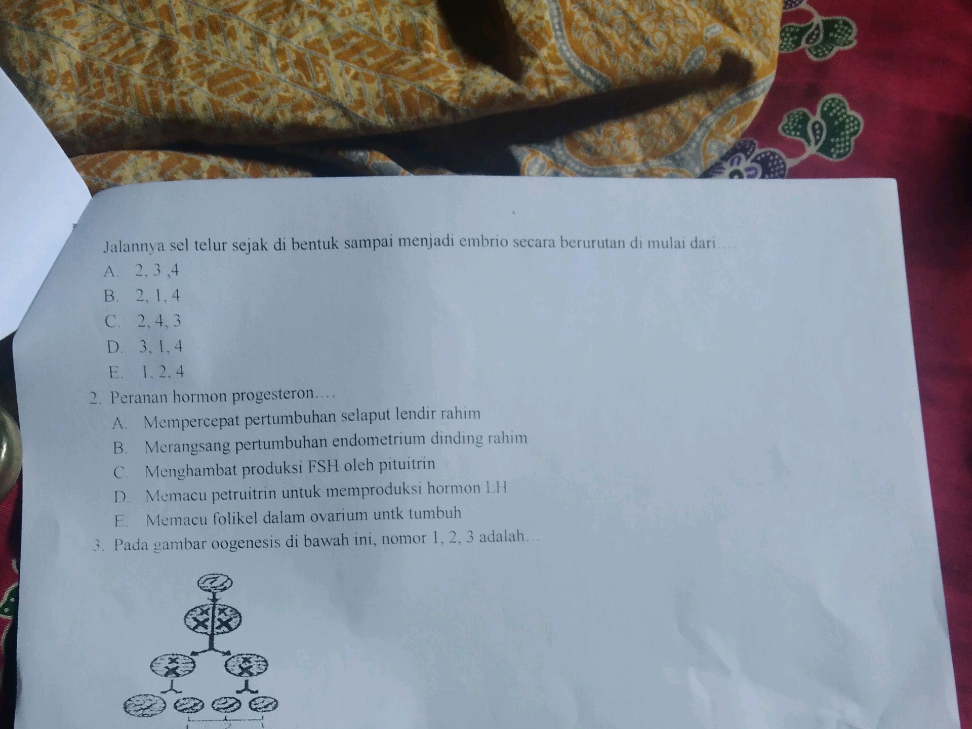 Jalannya sel telur sejak di bentuk sampai | StudyX