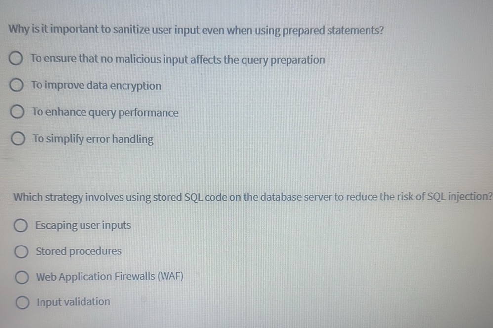 Why is it important to sanitize user input | StudyX