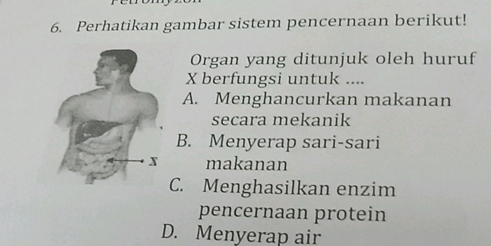 6. Perhatikan gambar sistem pencernaan | StudyX