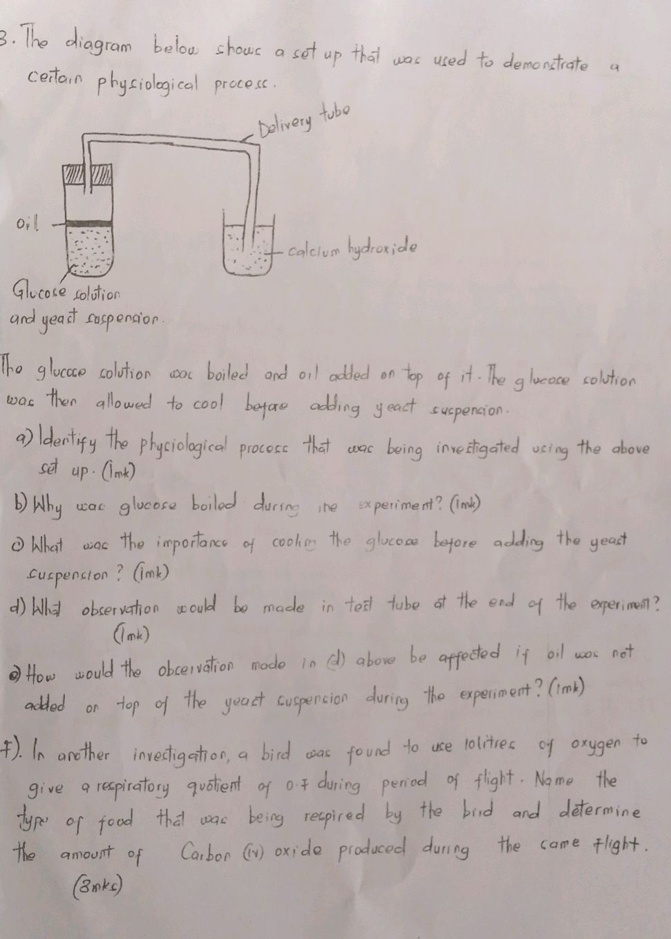 3. The diagram below shows a set up that was | StudyX