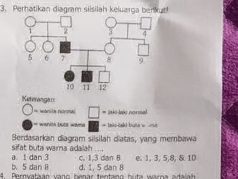 3. Perhatikan diagram silsilah keluarga | StudyX