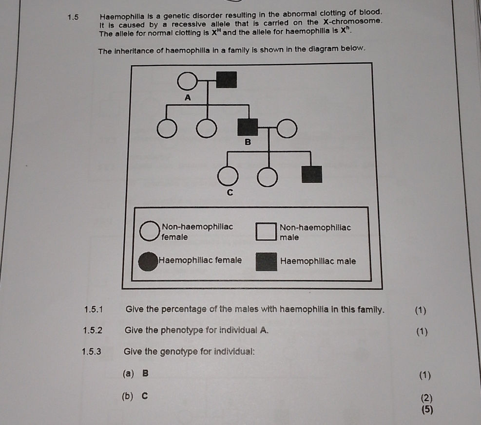 5 Haemophilia is a genetic disorder