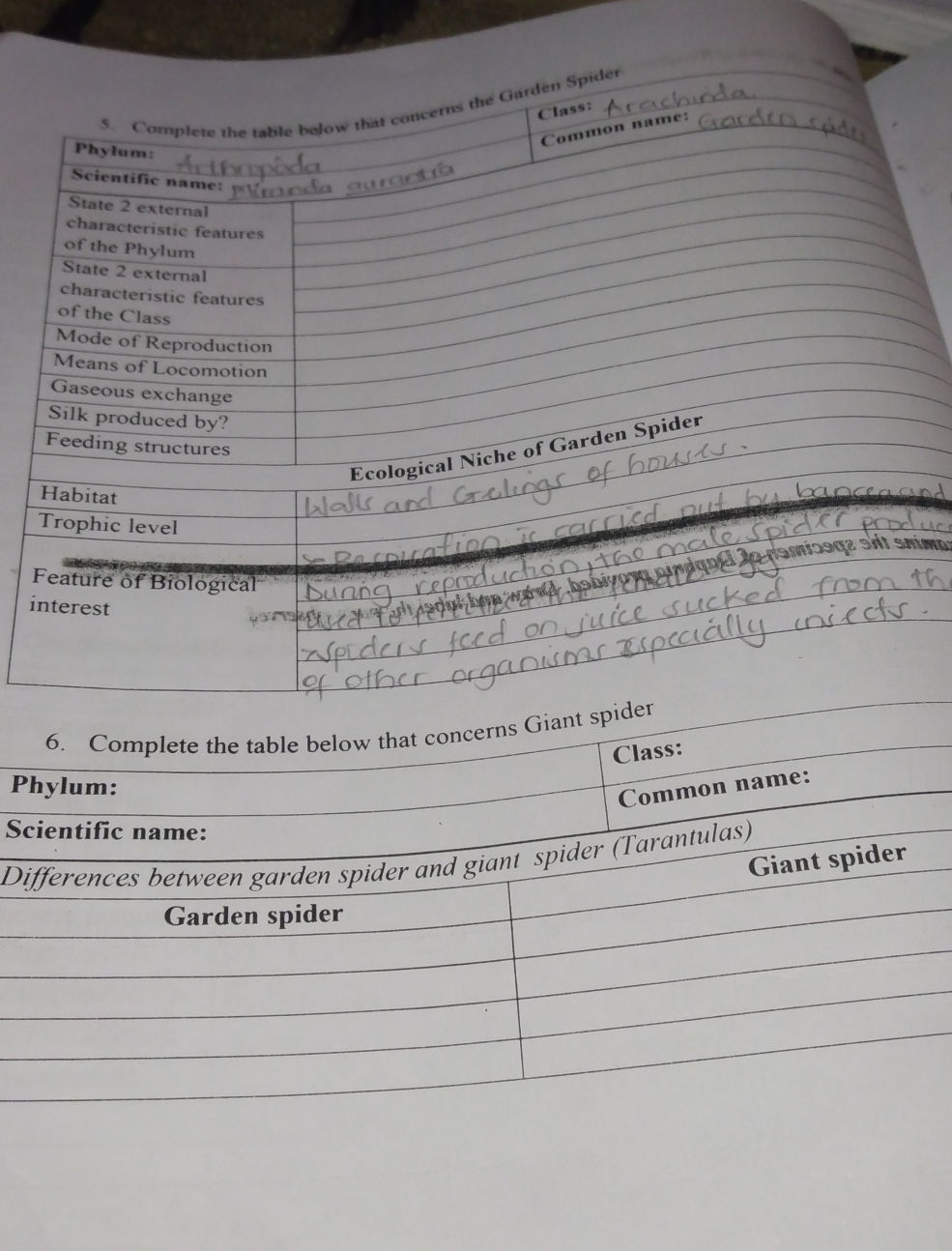 5. Complete the table below that concerns | StudyX
