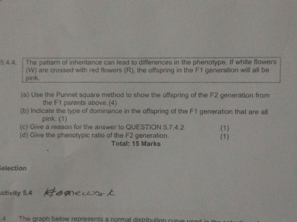 The pattern of inheritance can lead to | StudyX