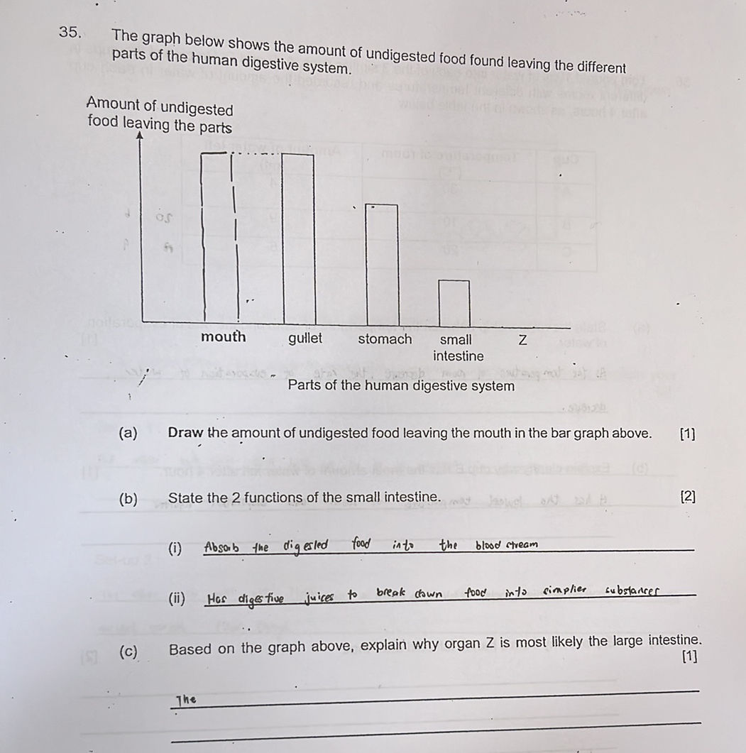 35. The graph below shows the amount of | StudyX
