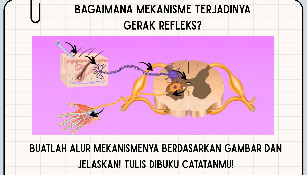 BAGAIMANA MEKANISME TERJADINYA GERAK