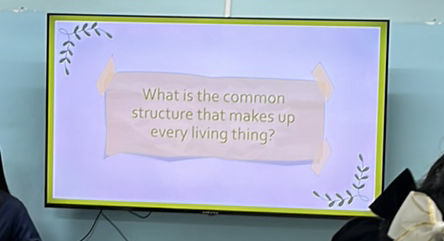 What is the common structure that makes up | StudyX