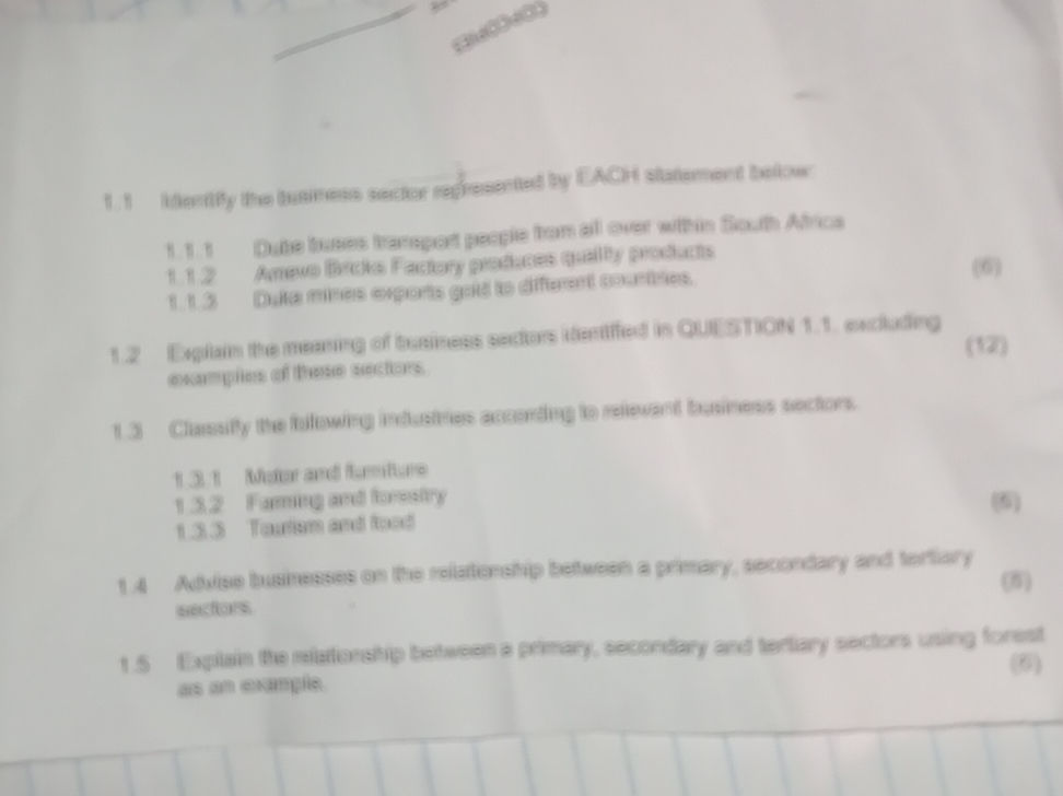 1.1 Identify the business sector represented | StudyX