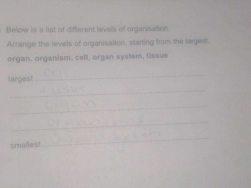 Below is a list of different levels of | StudyX