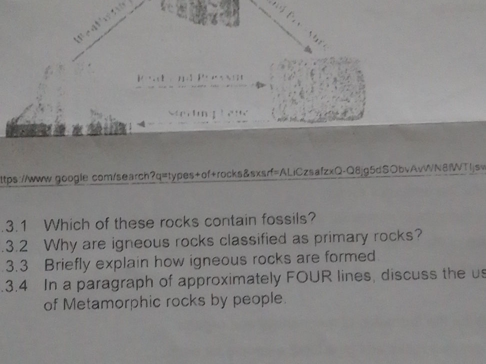 3.1 Which of these rocks contain fossils? | StudyX
