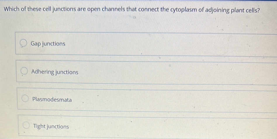 Which of these cell junctions are open | StudyX