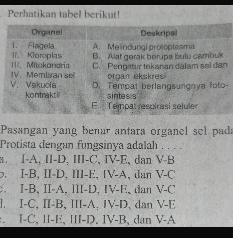Perhatikan tabel berikut! | Organel | | StudyX