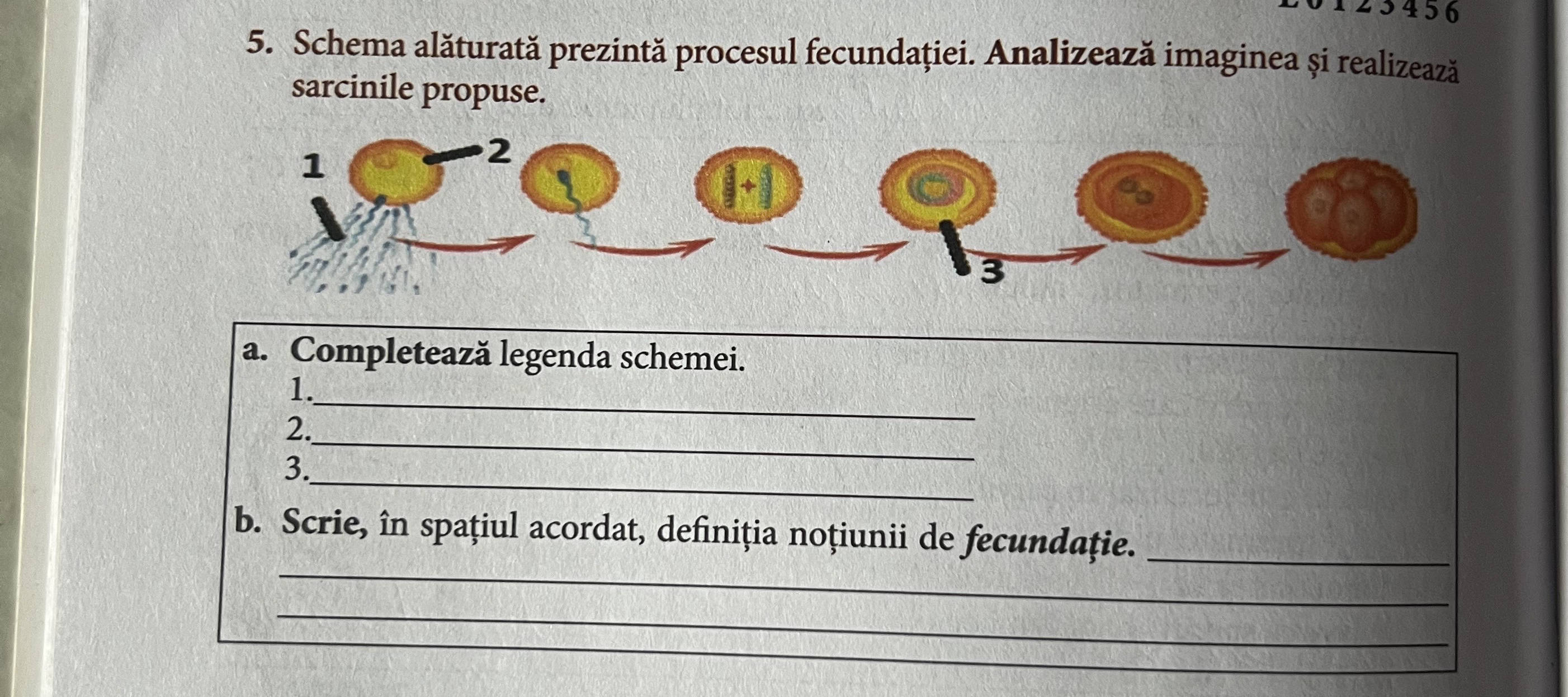 5. Schema alăturată prezintă procesul | StudyX
