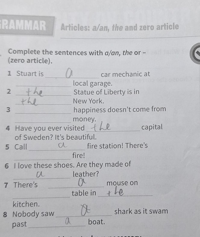 Complete the sentences with a/an, the or - | StudyX