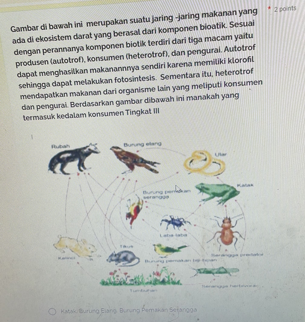 Gambar di bawah ini merupakan suatu jaring | StudyX