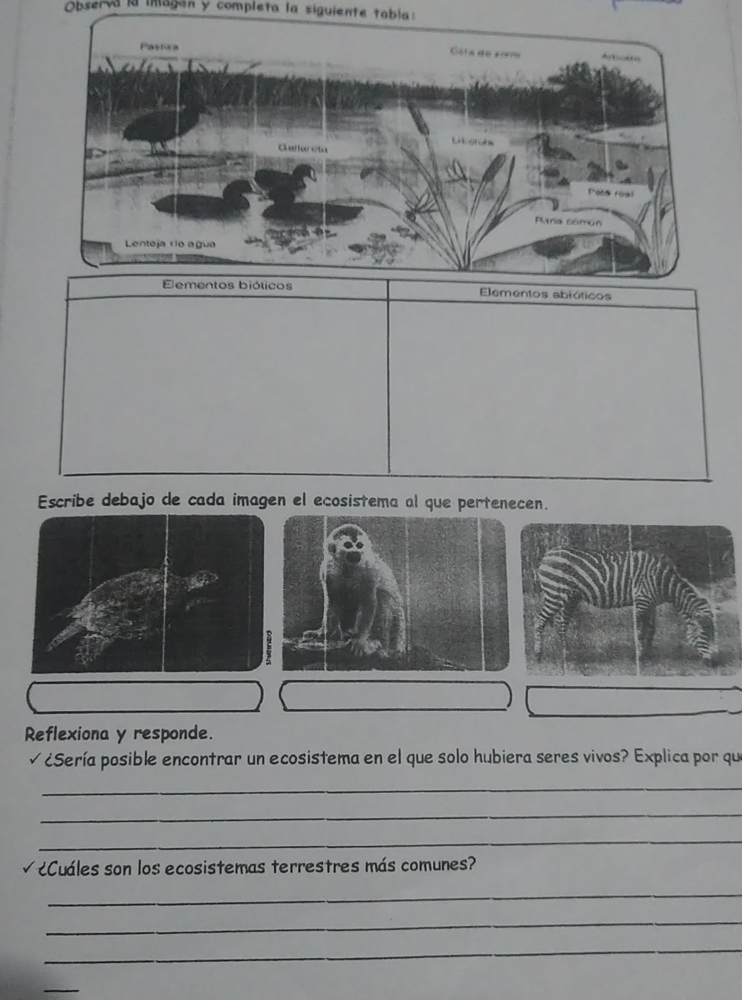 Observa la imagen y completa la siguiente | StudyX