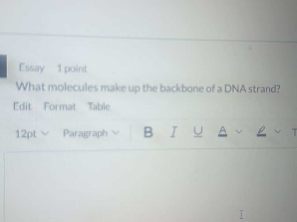 What molecules make up the backbone of a DNA | StudyX