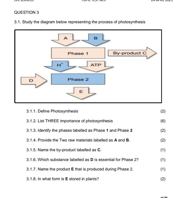 3. Study the diagram below representing the | StudyX