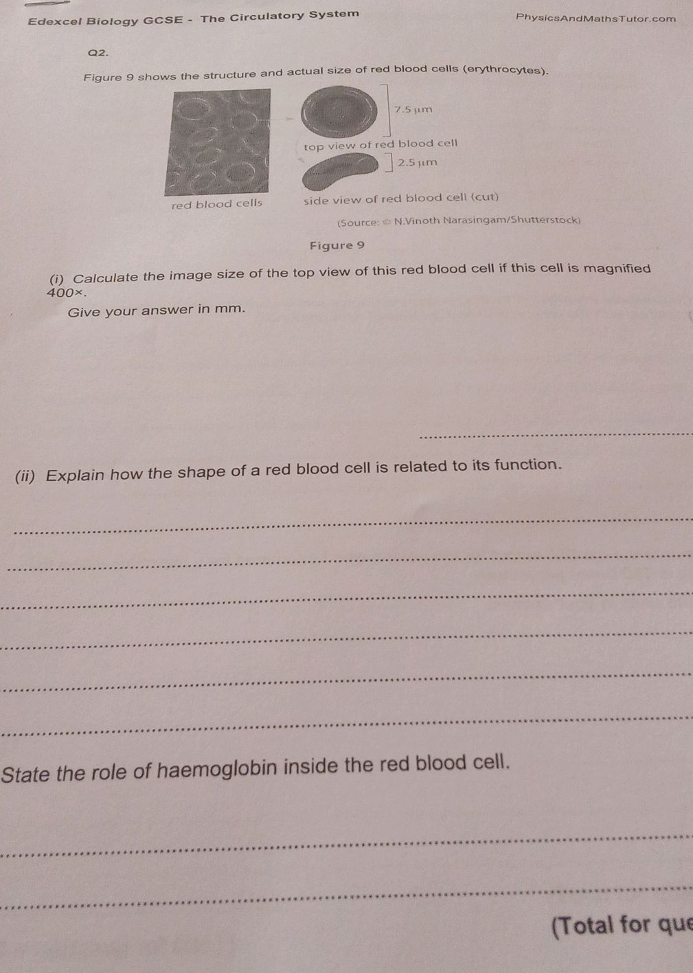 Figure 9 shows the structure and actual size | StudyX