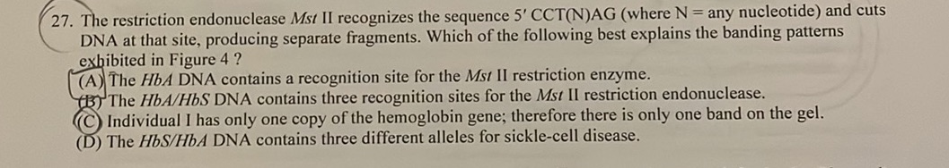 27. The restriction endonuclease *Mst* II | StudyX
