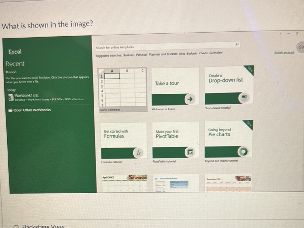 What is shown in the image? Excel Recent | StudyX