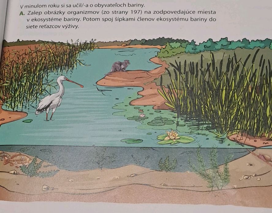 V minulom roku si sa učil/-a o obyvateľoch | StudyX