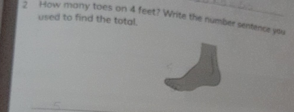 2 How many toes on 4 feet? Write the number | StudyX